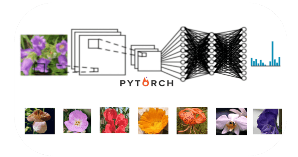 مشروع 17: التعرف على الصور باستخدام التعلم الآلي باستخدام PyTorch - التعلم العميق بالعربي || DL ...